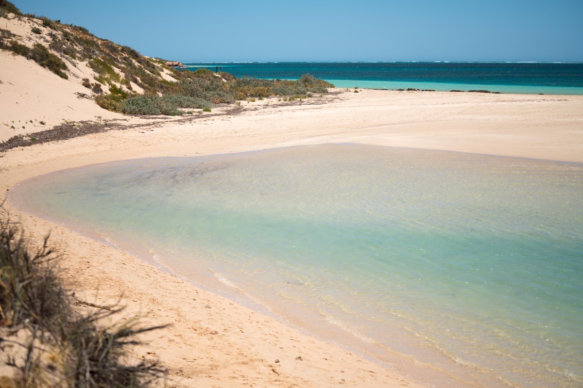 The Ningaloo Coast – Brightside Story Studio