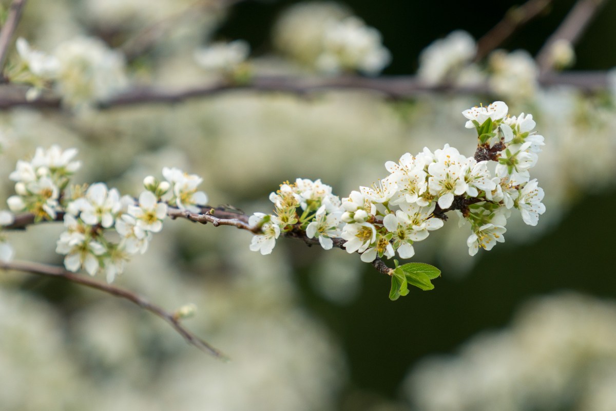 The Winding Narrative Turns Seven – Brightside Story Studio